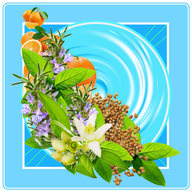 Loo Drops :: Materia Aromatica